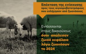 Άνοιξε το ΟΣΔΕ 2025 με μια μέρα καθυστέρηση – Αιτήσεις μέσω ΚΥΔ ή taxisnet - E-Sterea.gr